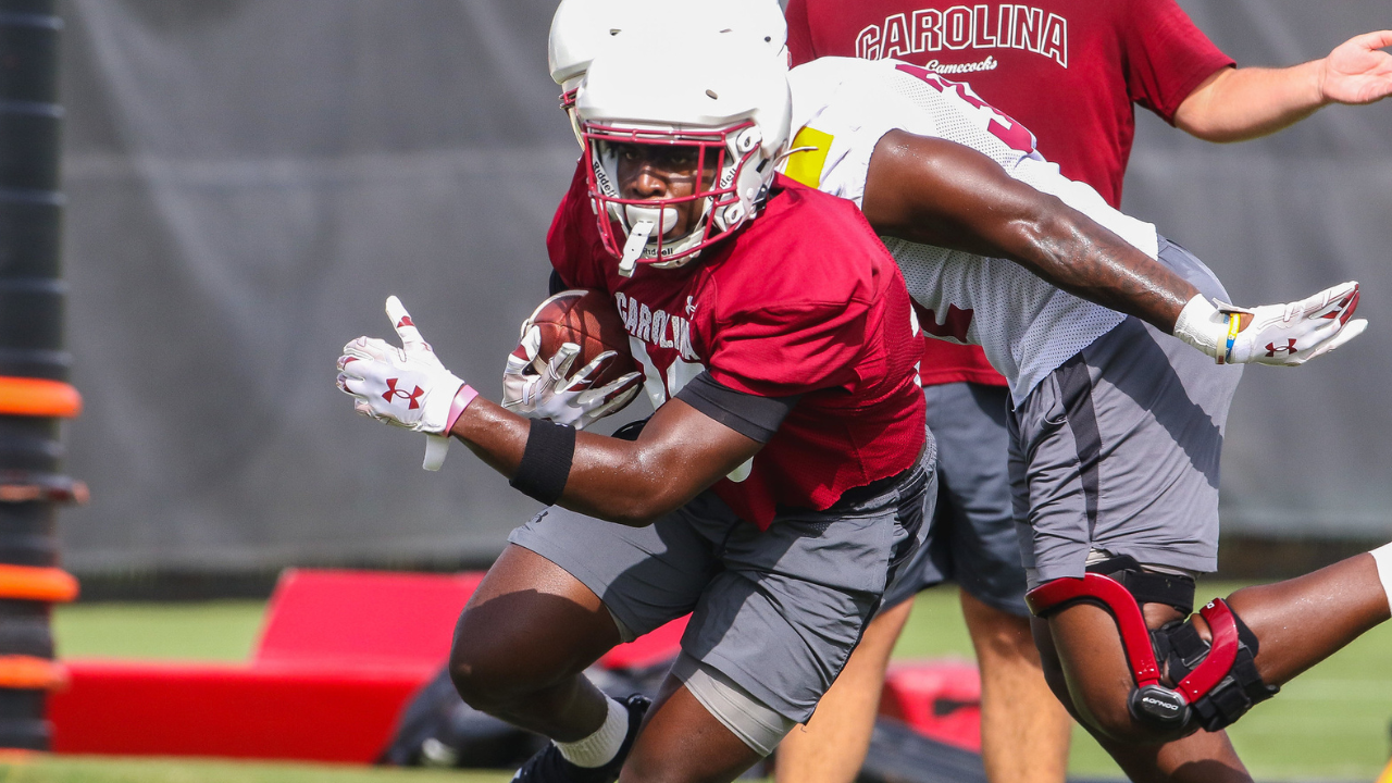 Matthew Fuller shows potential early in South Carolina's preseason
