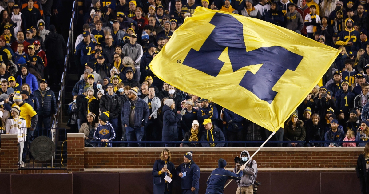 LSU quarterback Colin Hurley commits to transfer to Michigan - On3