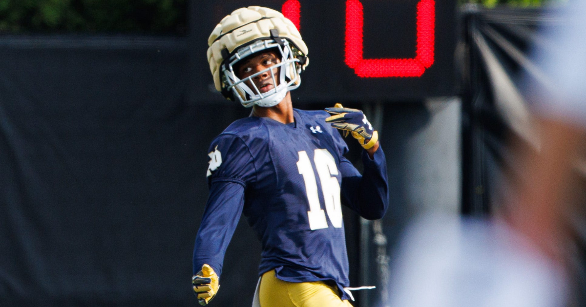 Notre Dame freshman safety Tae Johnson suffers foot injury