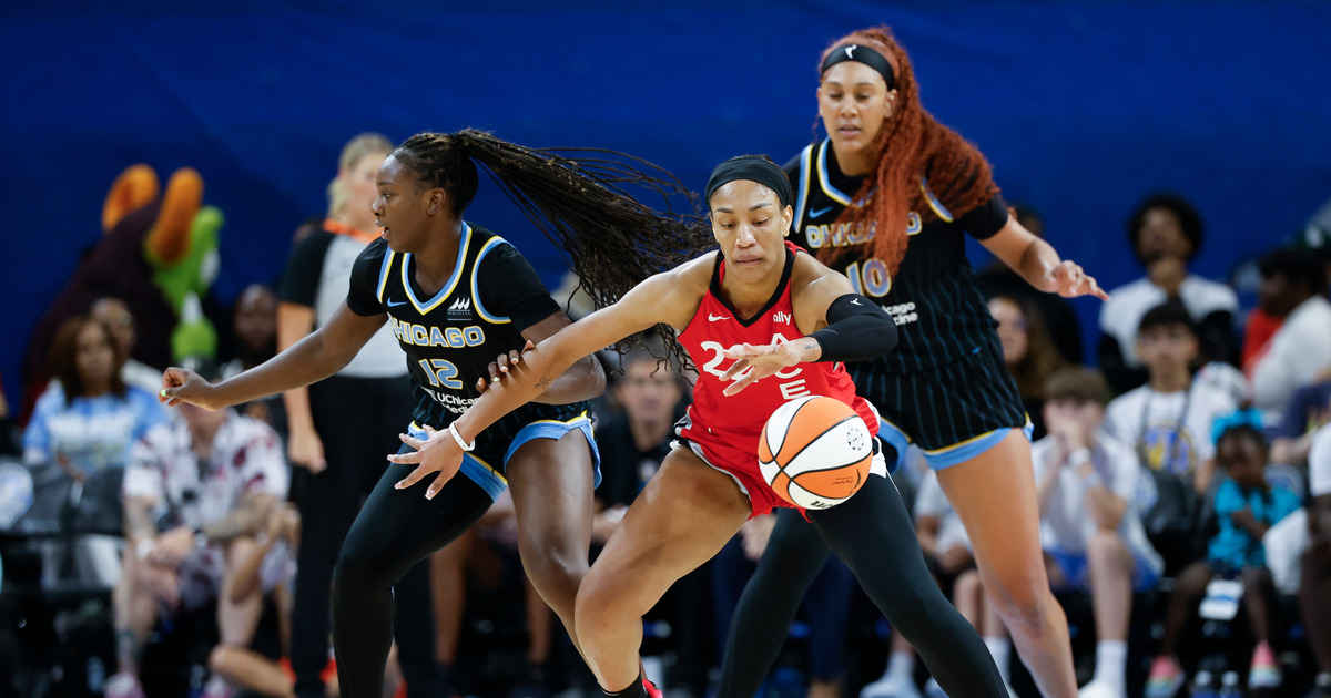 South Carolina women's basketball: Gamecocks in the WNBA - Week 14 - On3