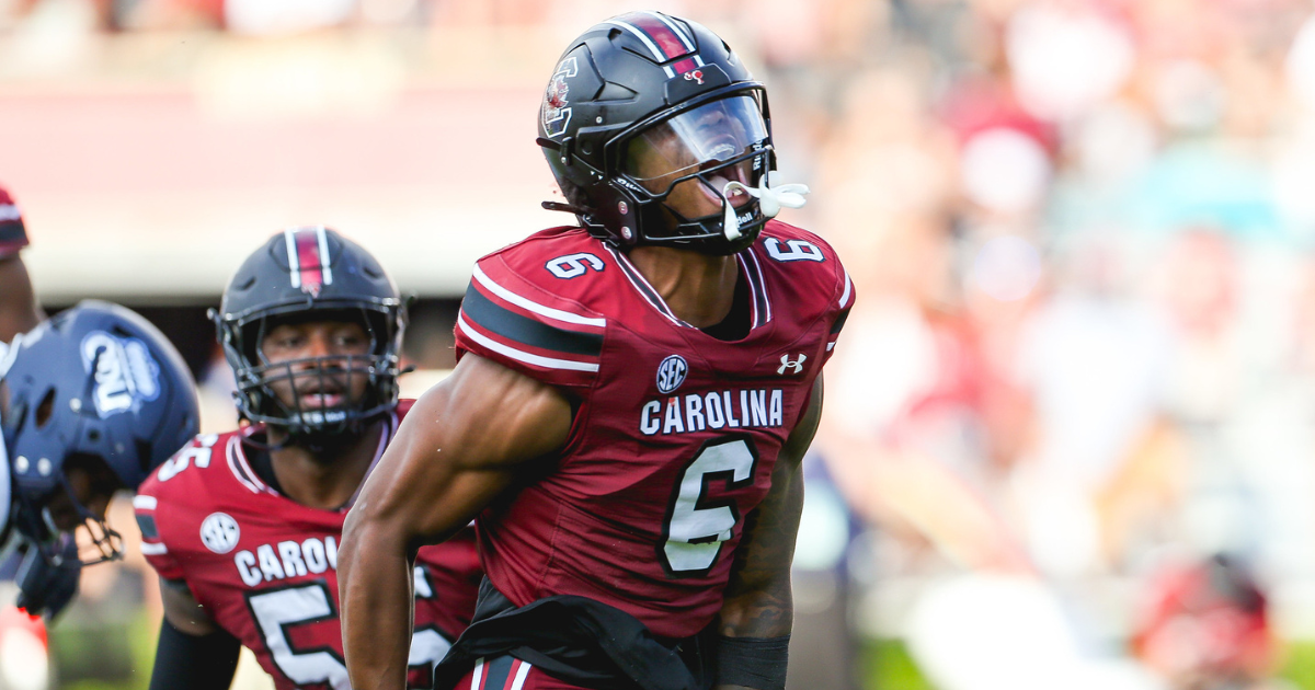 South Carolina's Dylan Stewart earns preseason All-American nod from ...