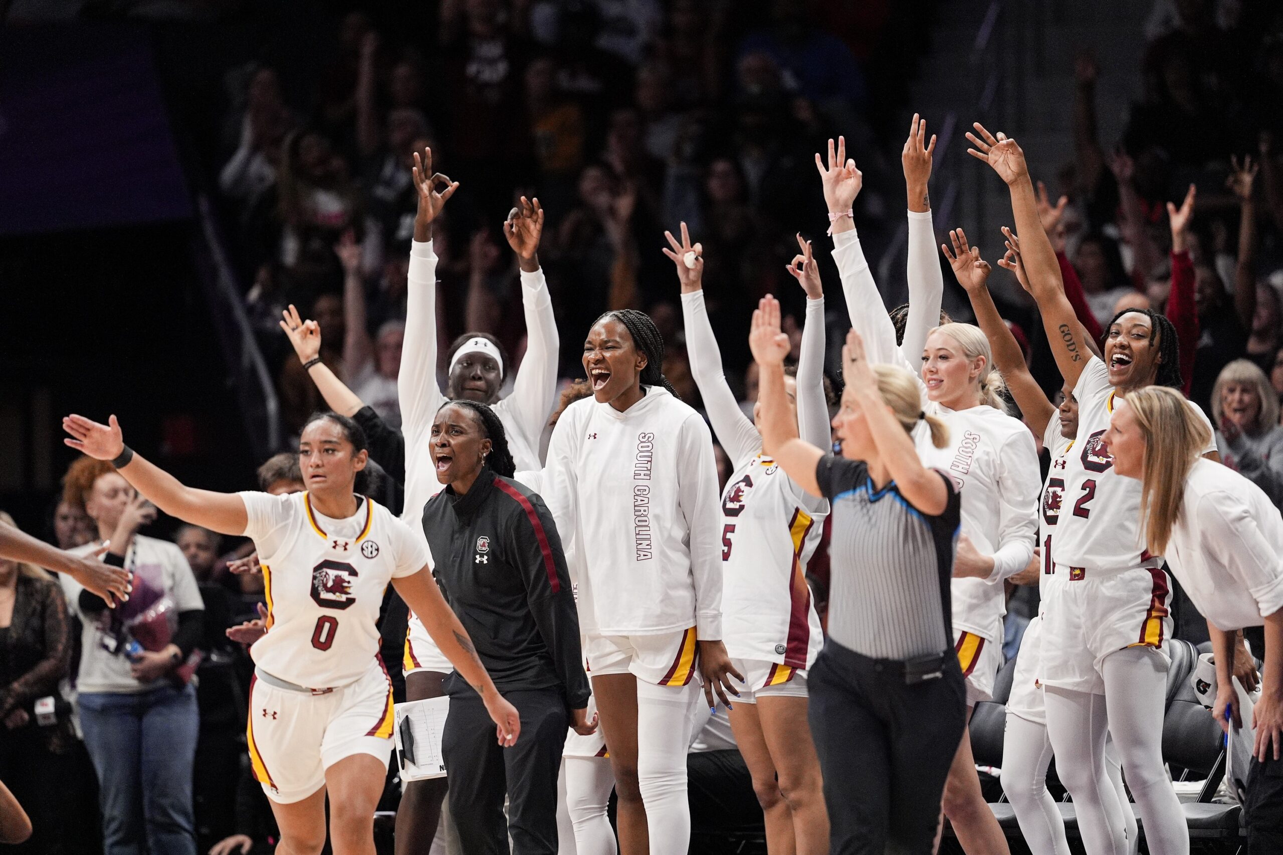 South Carolina women's basketball vs. NC State box score, stats, score