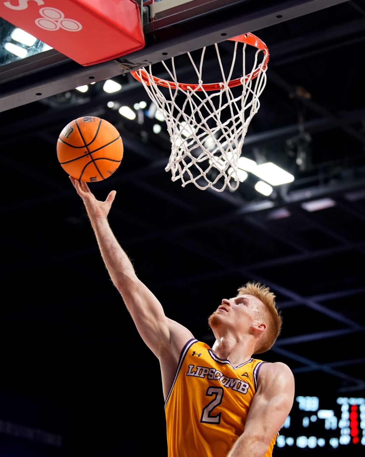 Get to know the Bisons of (David) Lipscomb University, Kentucky's next ...