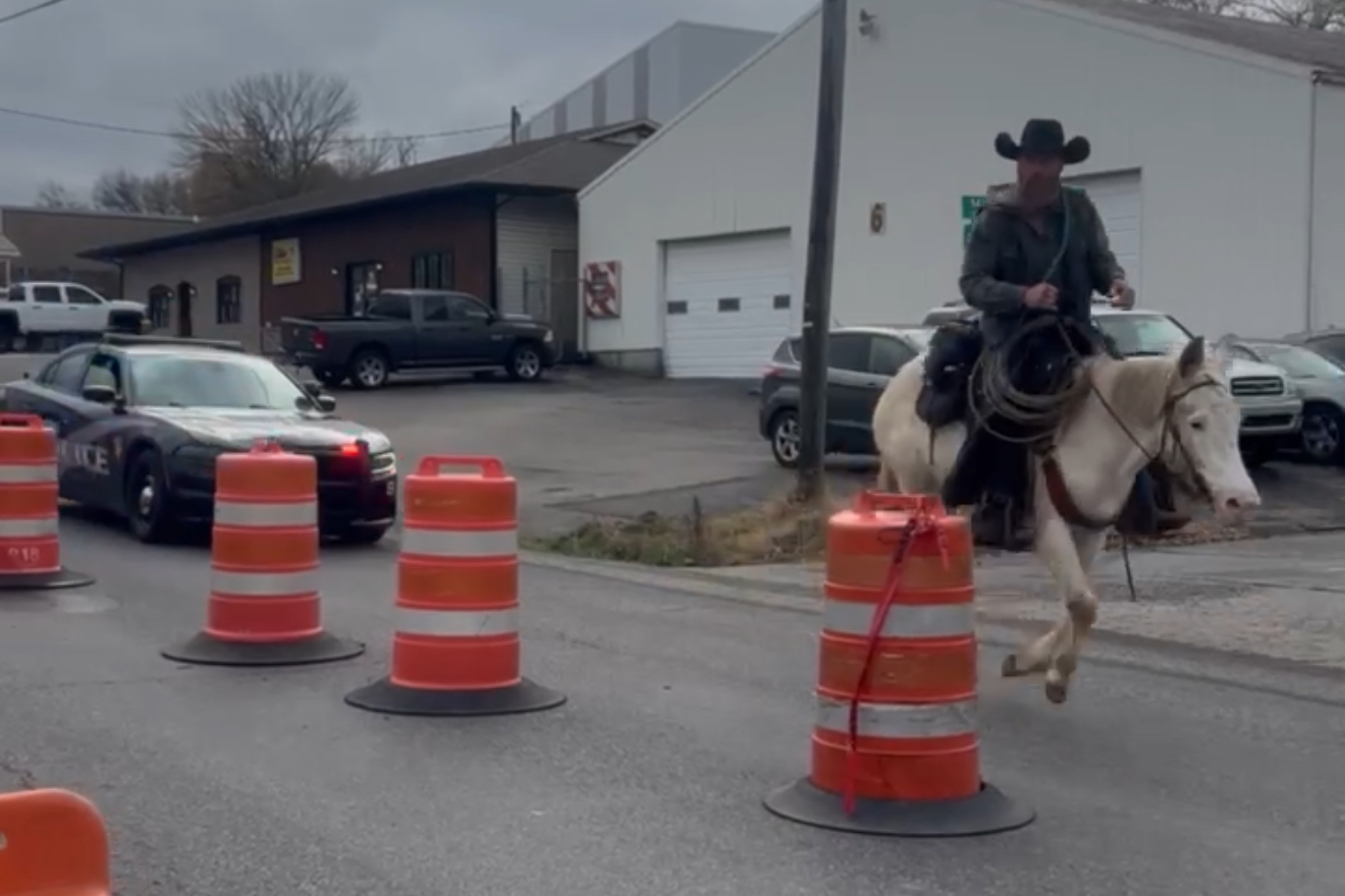 Murray man tried to evade police on a mule after a wild weekend in ...