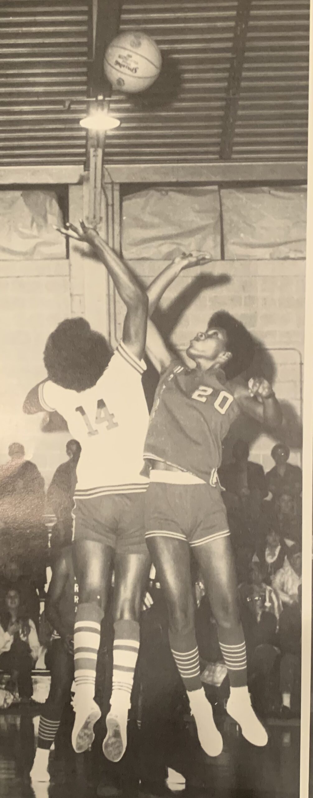 How Mark Pope and a very good dog saved Jaxson Robinson's basketball career