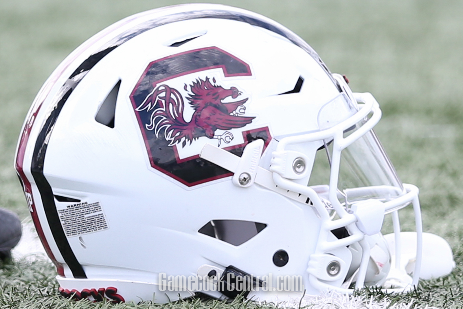 South Carolina WR Vandrevius Jacobs plans to enter NCAA transfer portal ...