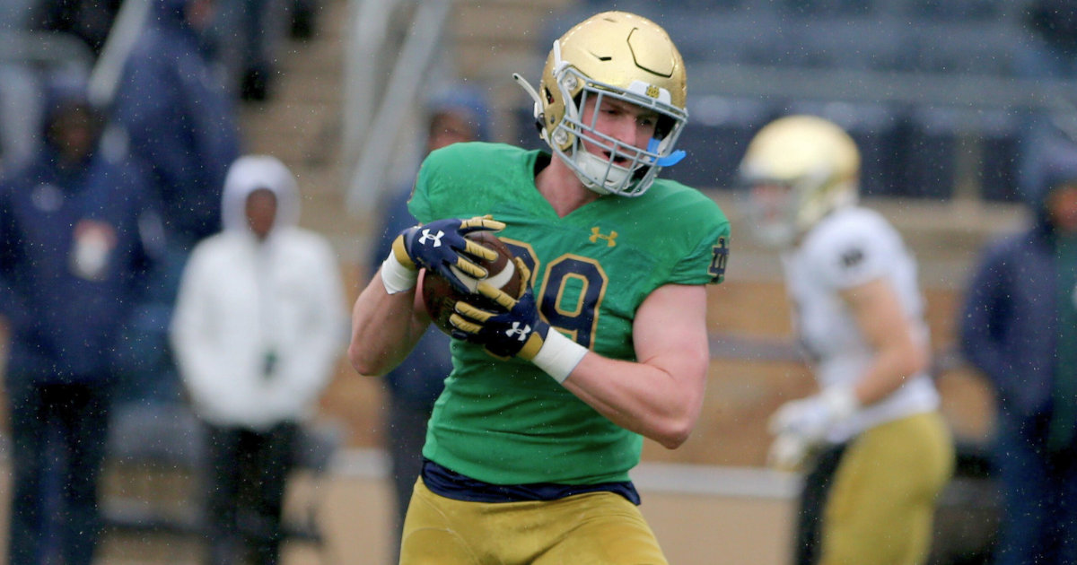 Notre Dame walk-on TE Andrew Yanoshak enters transfer portal