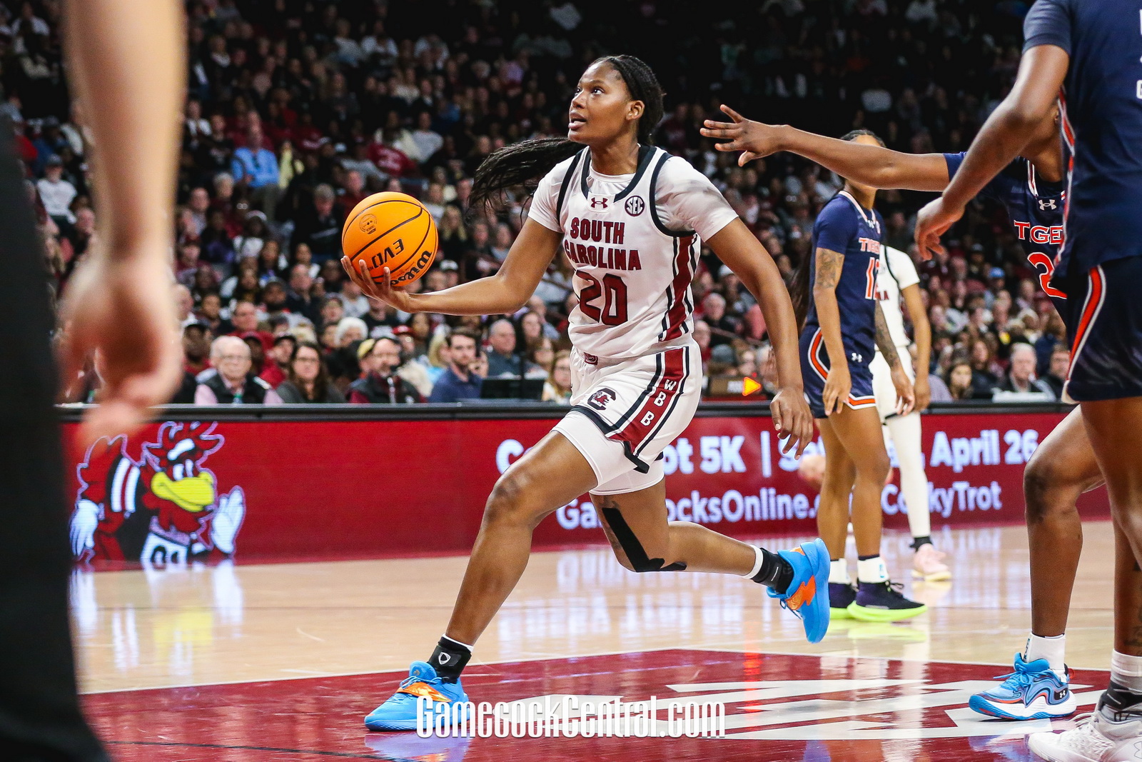 Gamecocks women basketball store