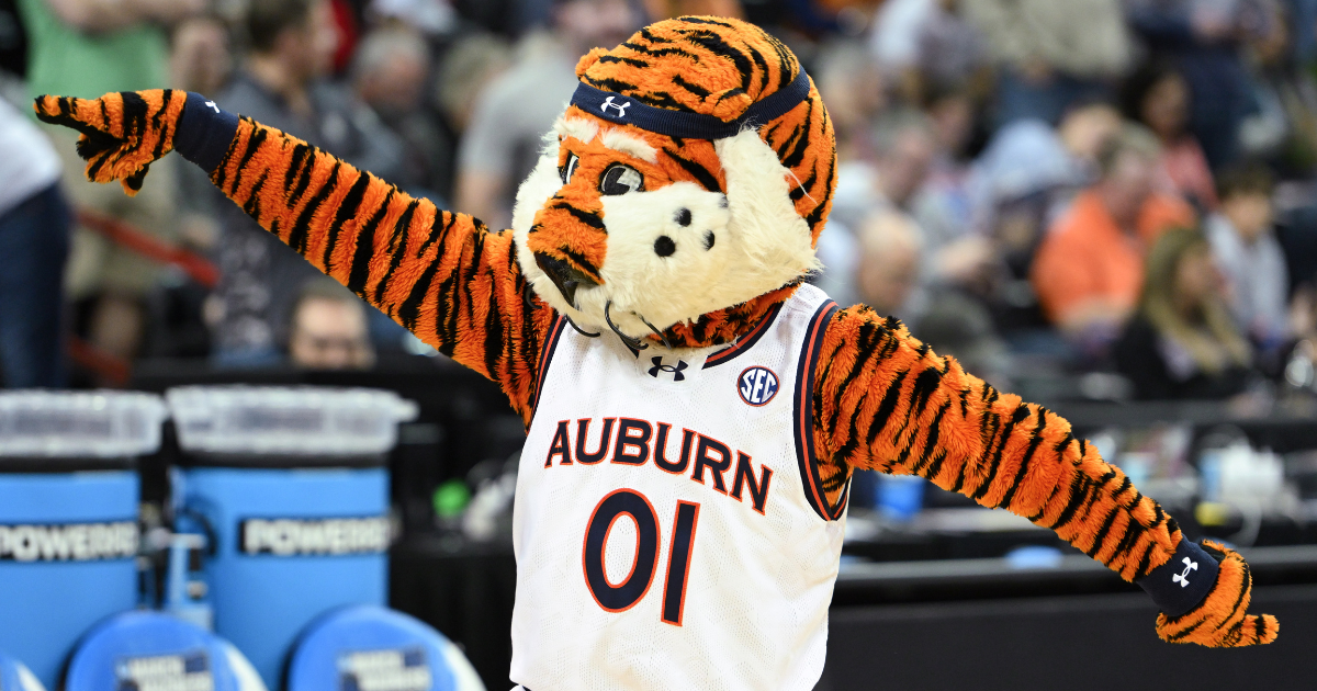 KSR Staff Predictions: No. 1 Auburn at No. 17 Kentucky - On3