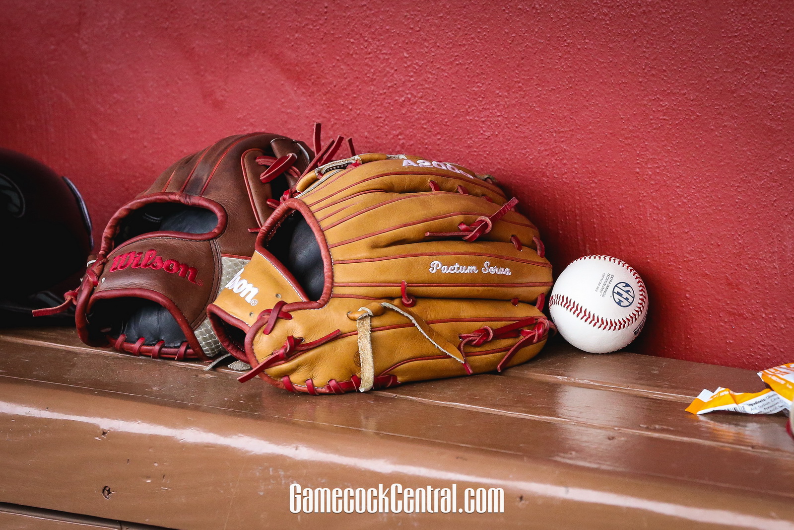 Report: South Carolina lefty Jake McCoy lost for 2026 season due to ...