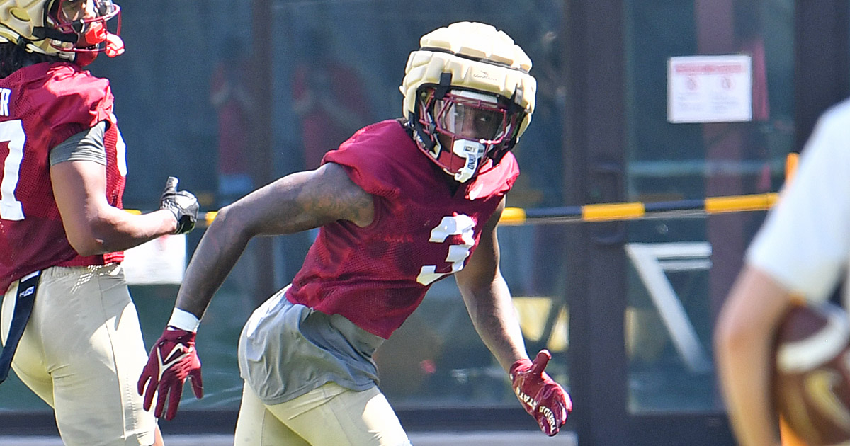 Florida State safeties will have new look when 2025 season opens