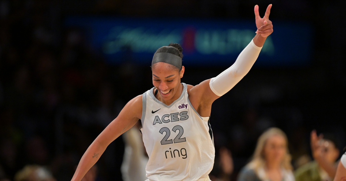 South Carolina women's basketball: Gamecocks in the WNBA - Regular ...