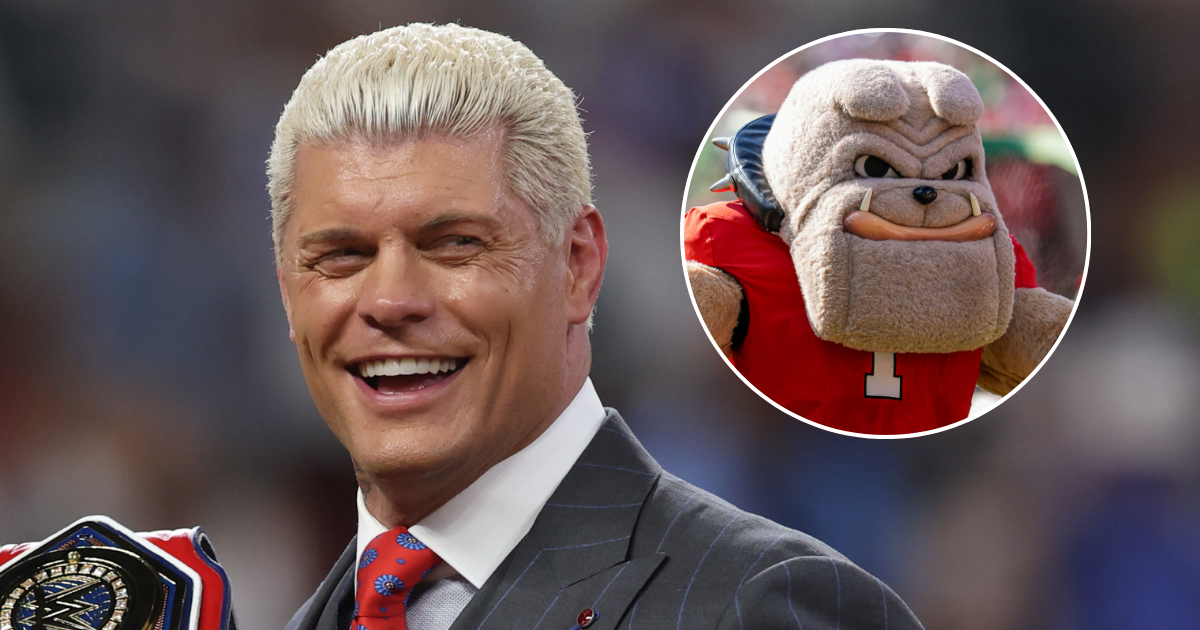 WWE star, Georgia fan Cody Rhodes calls loss to Alabama a 'sad ending ...