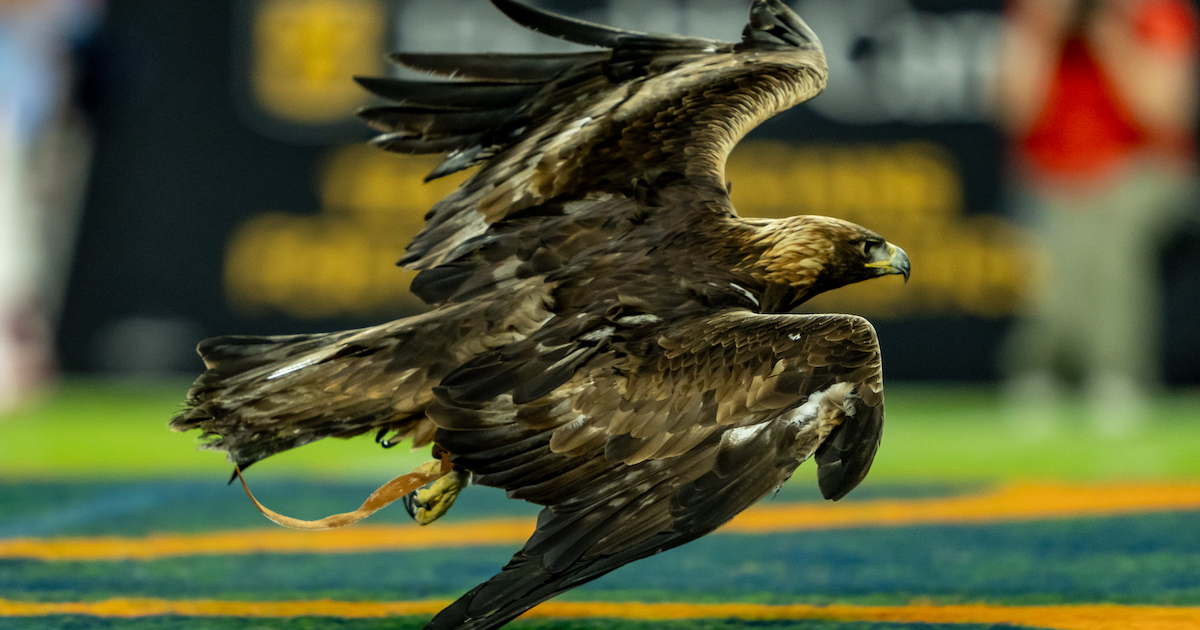 Pick’em: Week 10 - On3