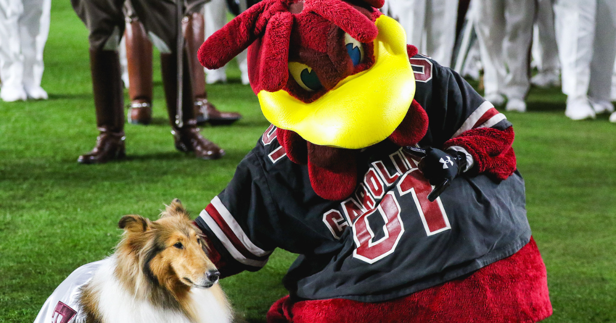 Behind Enemy Lines: Texas A&M writer breaks down Aggies ahead of South ...