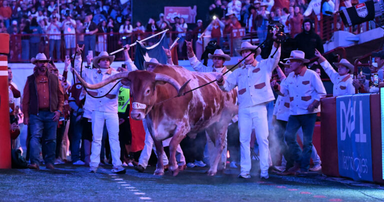 Photo Gallery: The best photos from Texas' 27-17 win over Texas A&M - On3