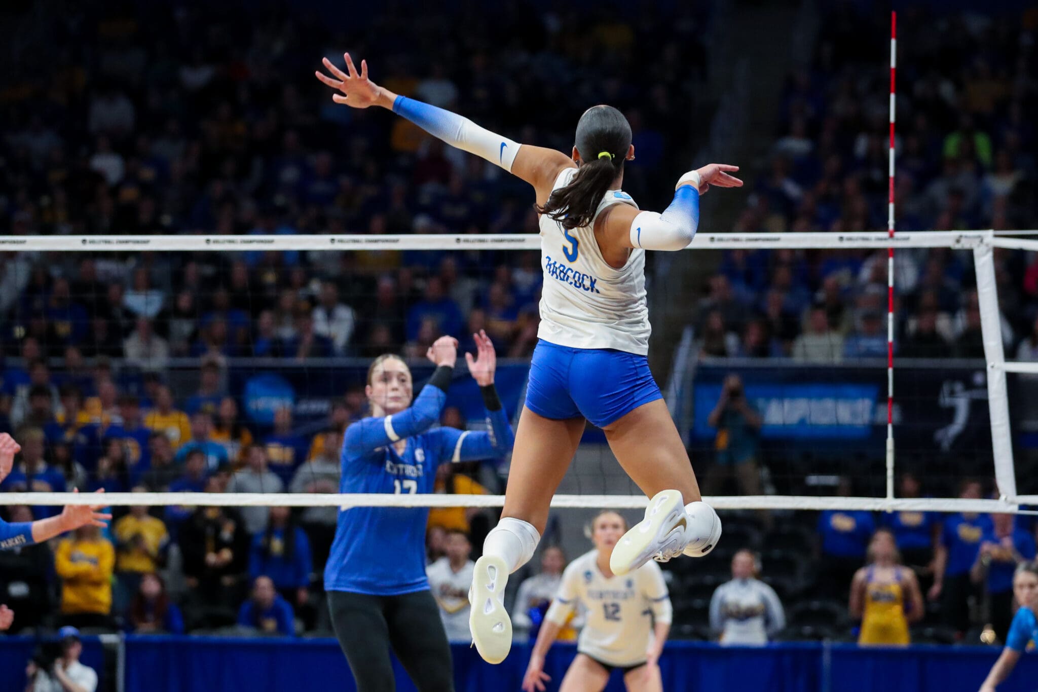 Pitt Volleyball Sweeps Michigan in Highly-Contested Second Round ...