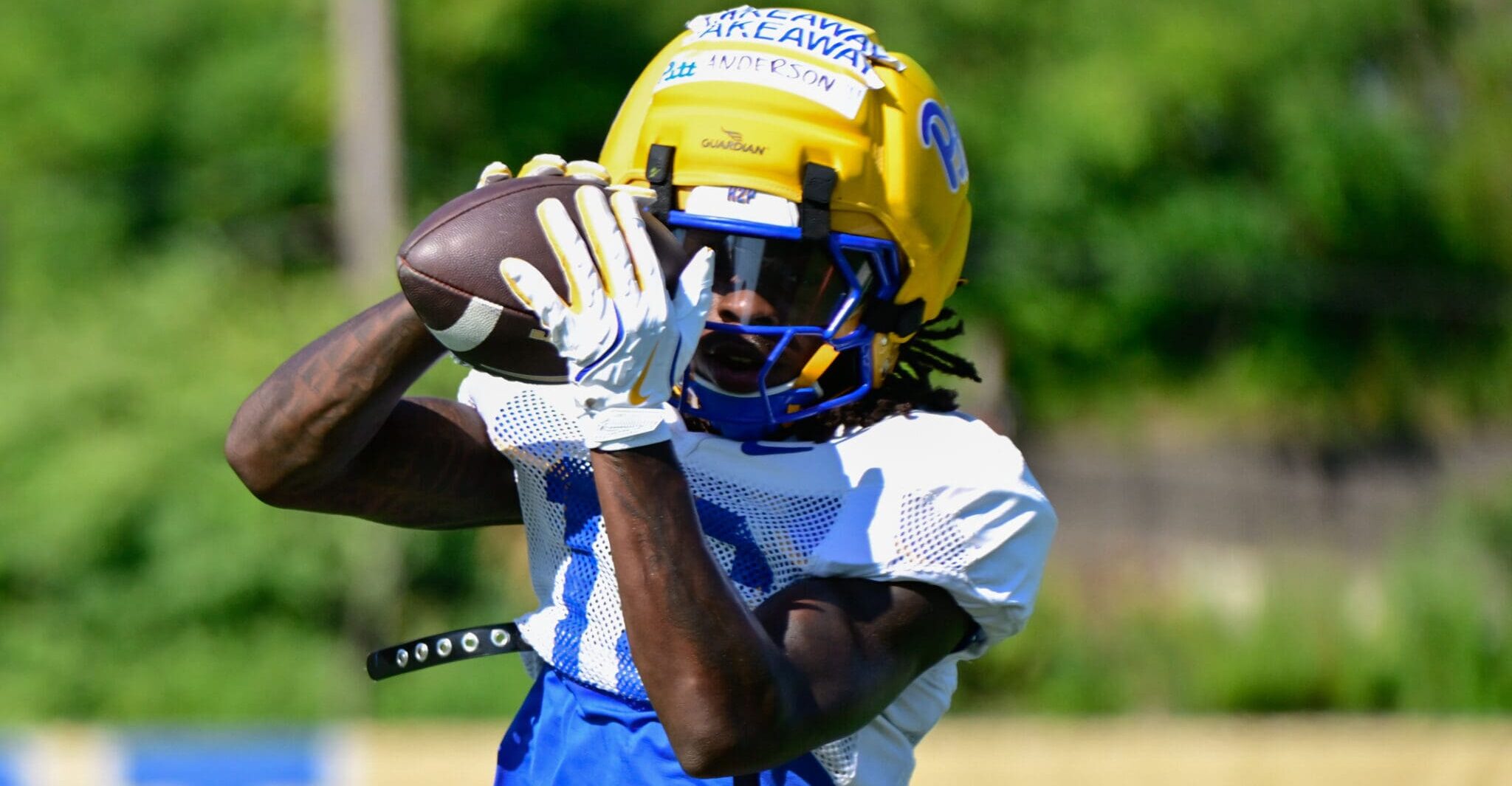 Pittsburgh transfer DB Jesse Anderson commits to Kentucky - On3