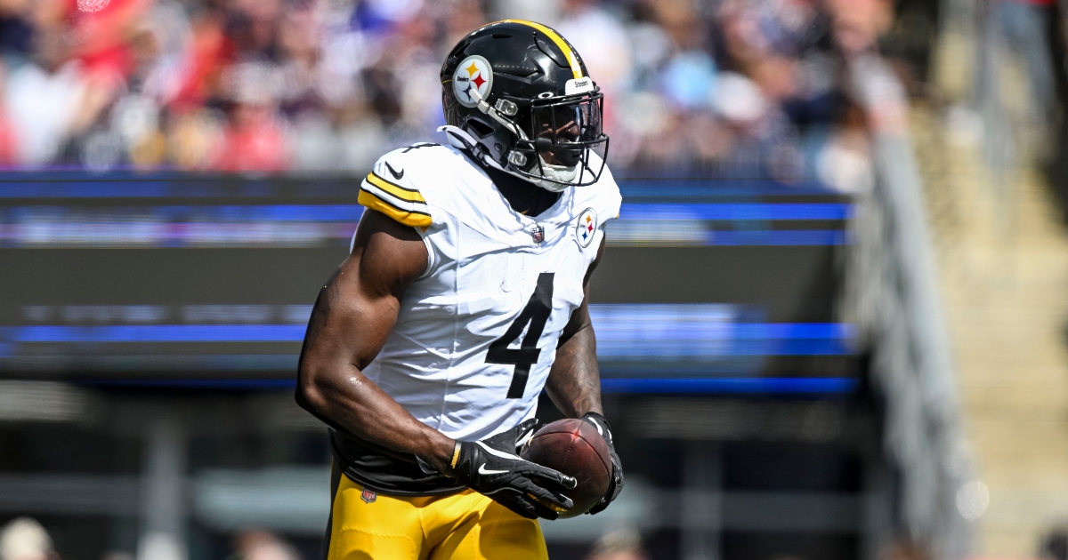 DK Metcalf punches fan: Steelers WR plans to appeal suspension per report